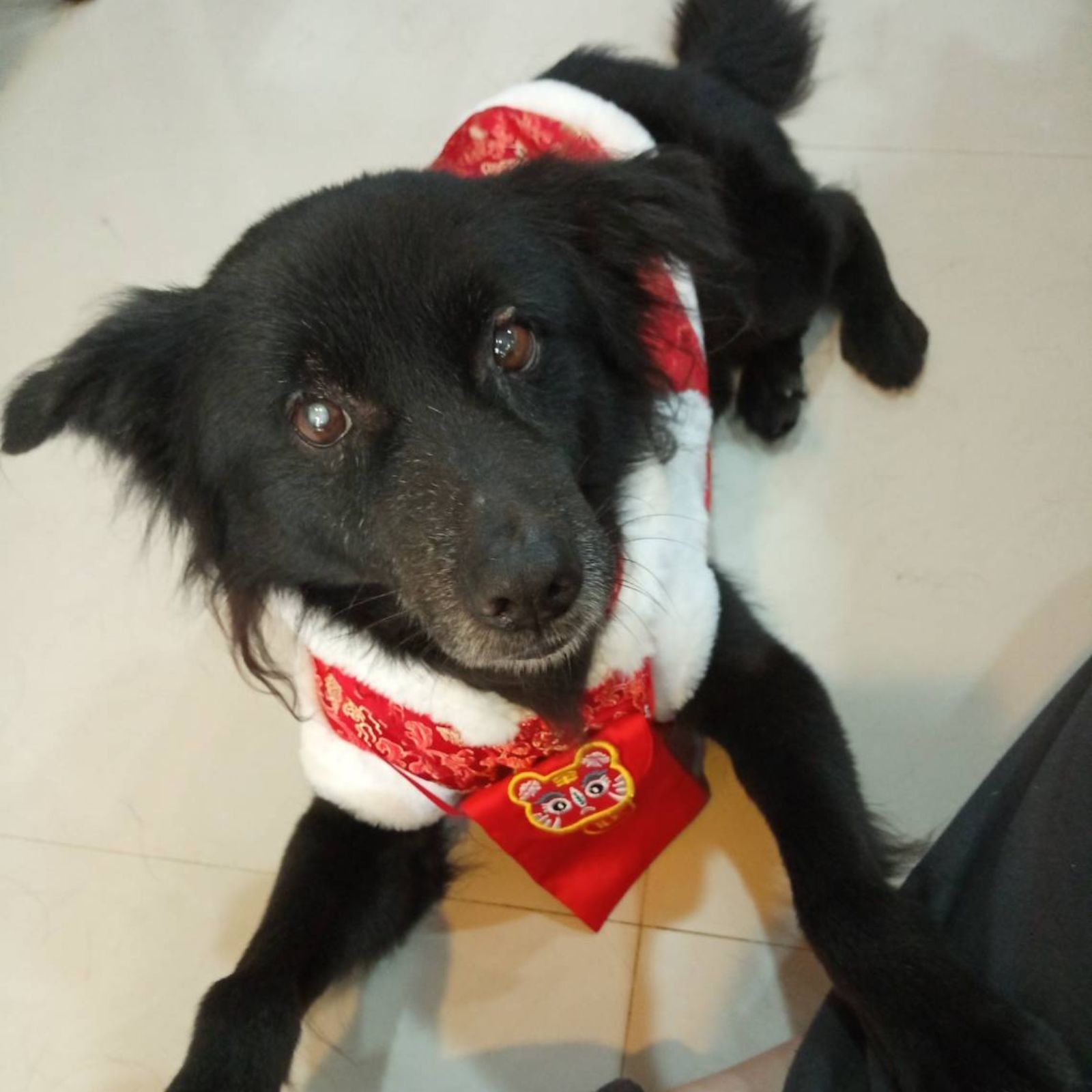 Doby